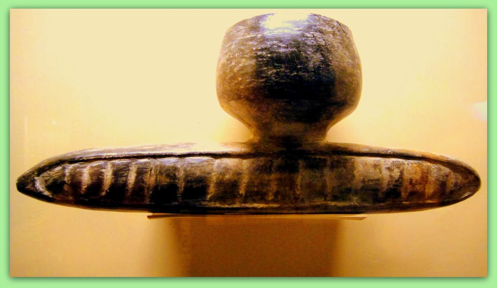 PLAAN : Pacae - Inga feuilleei