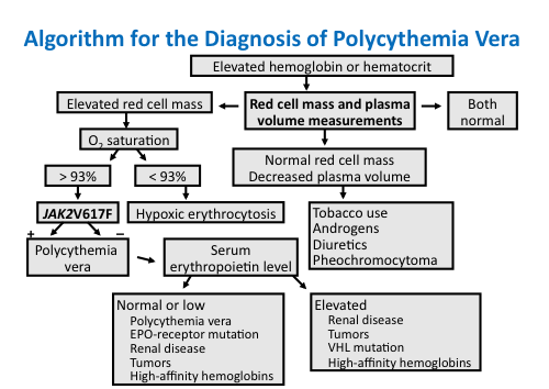 Polycythemia Vera