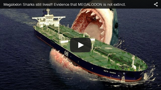 The Most Biggest Shark Alive ! - Megaldon Shark is not a Myth | Video Gag