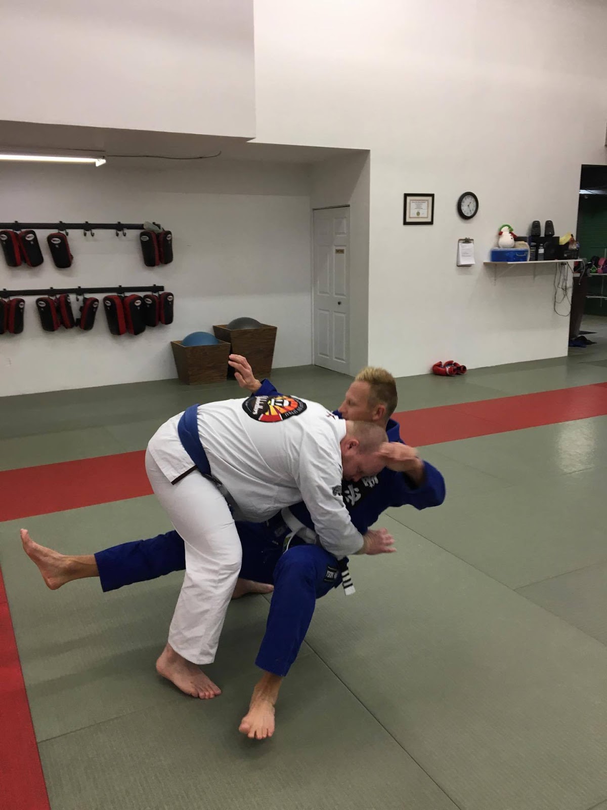 Panda's Odyssey: My Journey Across The World With Martial Arts: Sudbury ...