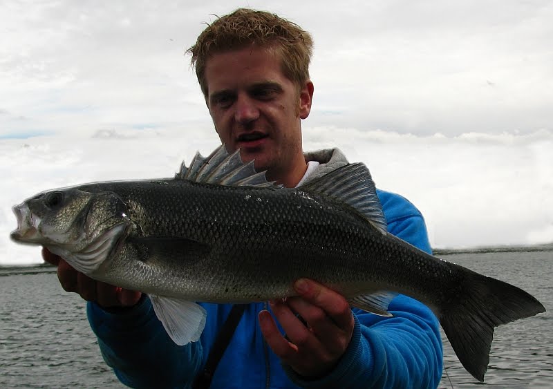 Zeebaarsshop.nl Blog - Dutch Bass Fishing