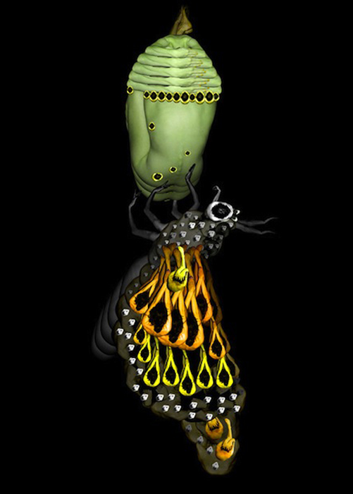 Coco 的美術館: 由人體構築的大自然影像-- Cecelia Webber