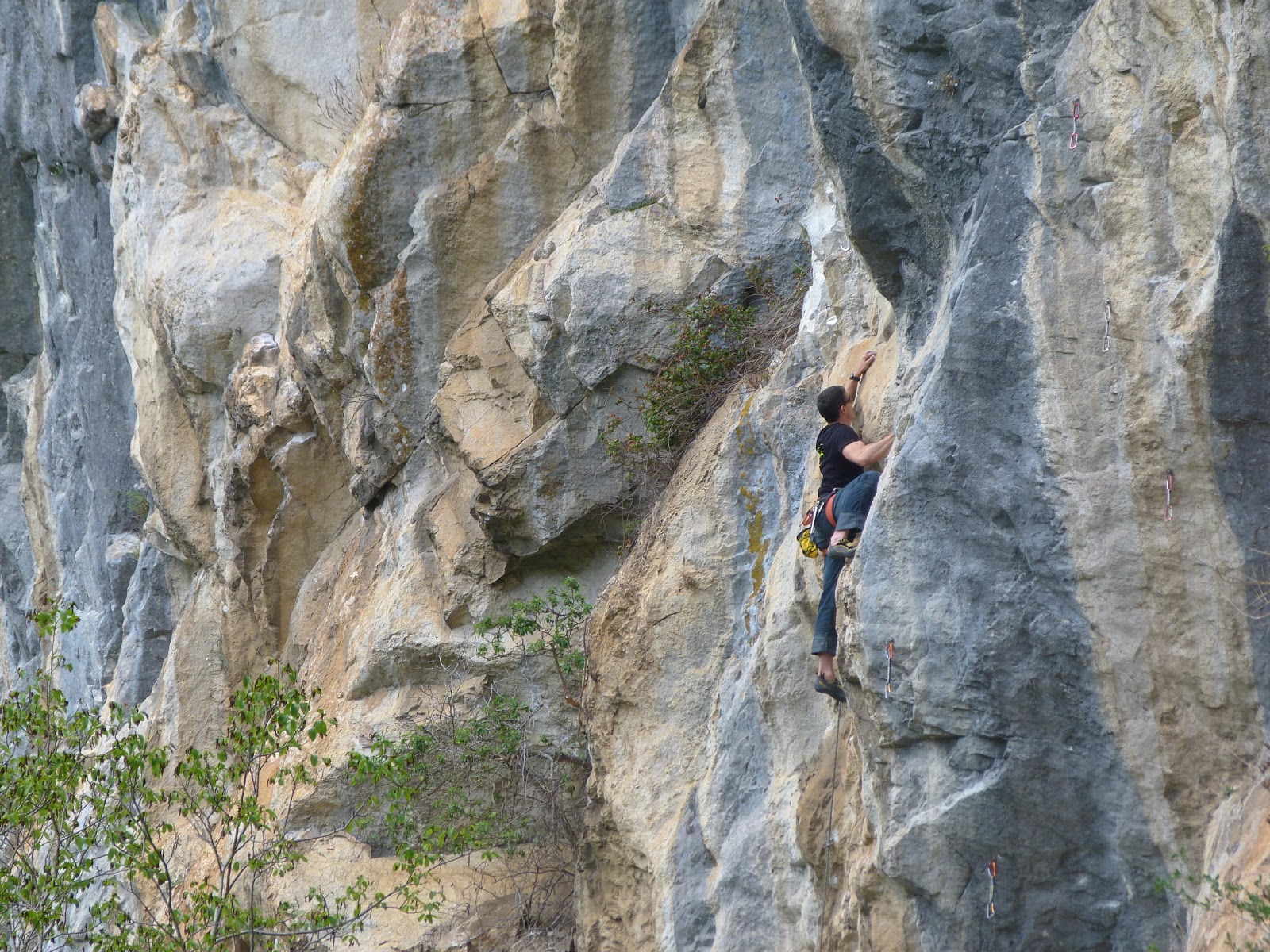 Infofanatic: Parque Natural de Redes, Asturias.