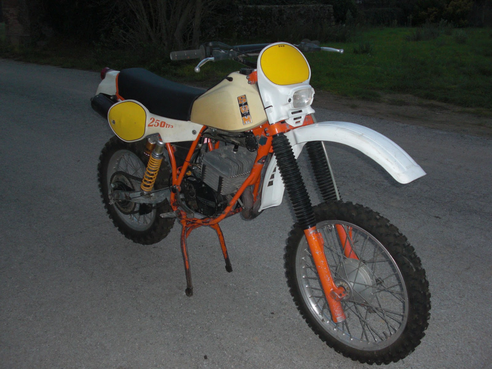 Blog de motor família Figueras Flaçà: SWM 250 TF3