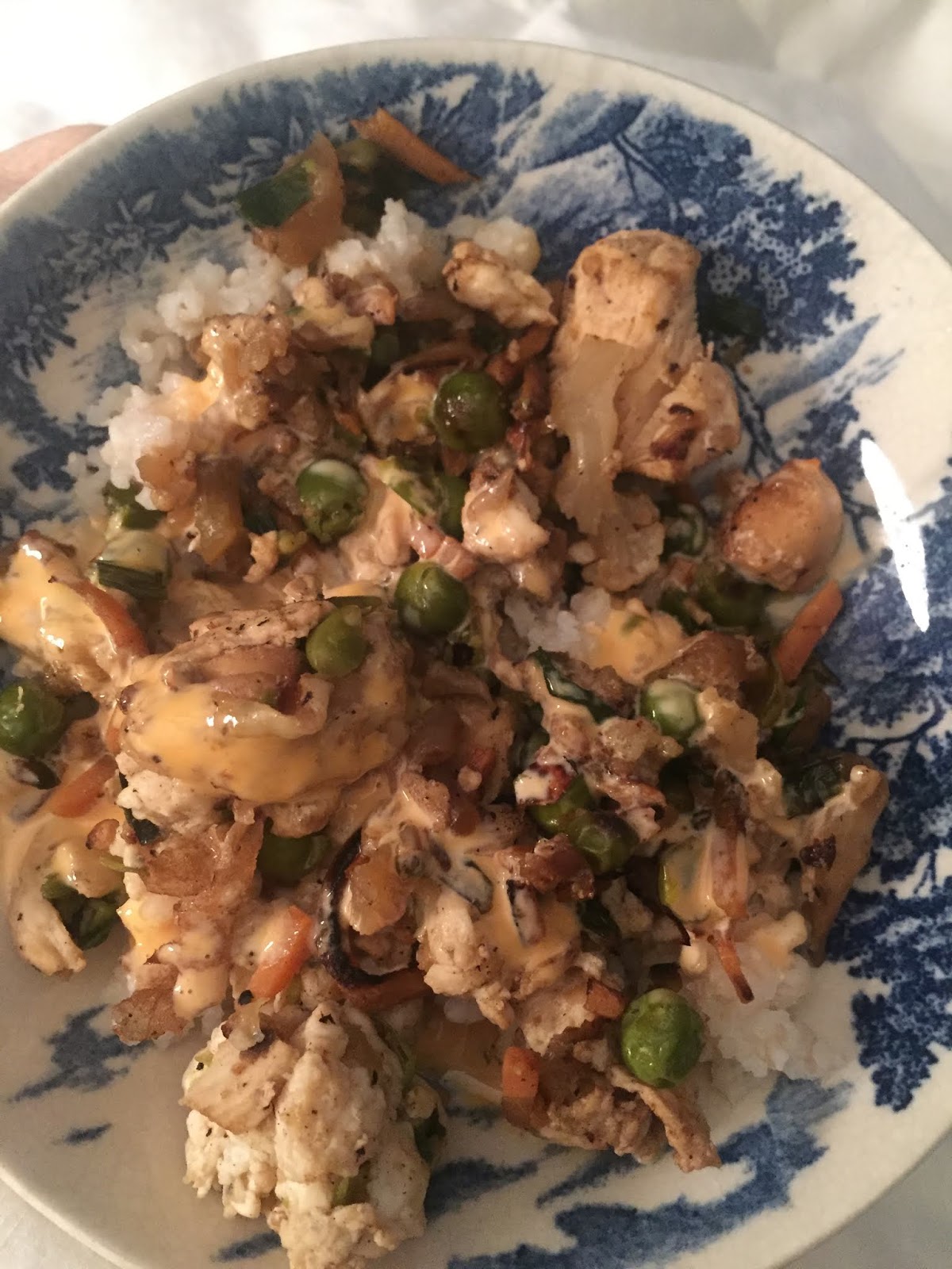 Trim Healthy Mama Chicken Fried Double Rice Review - Lora Lovin Osburn