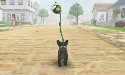 noxyism: Nintendogs + Cats for 3DS: (Part 1 of 3) Comparison and Review