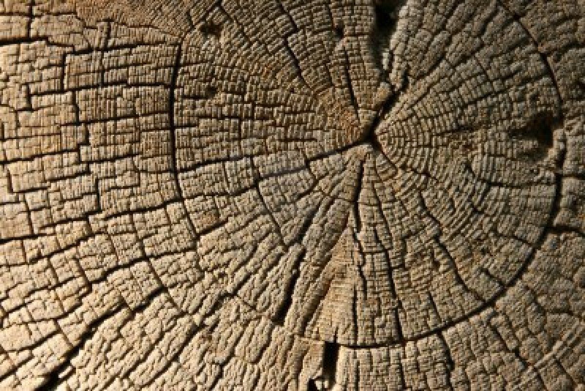 The Texture In Artwork the-texture-in-artwork