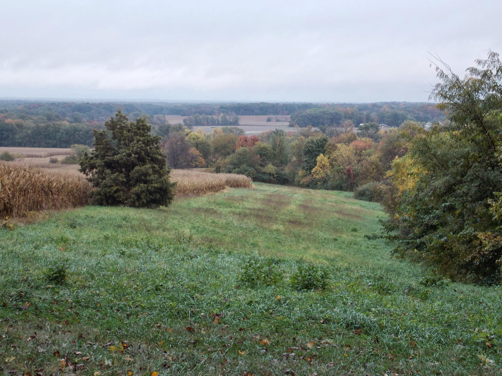The Schramm Journey: Red Hills Illinois State Park