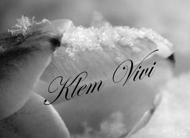 Mine bilder - Vivishagerom : Ballongdansen som ble til kuler!