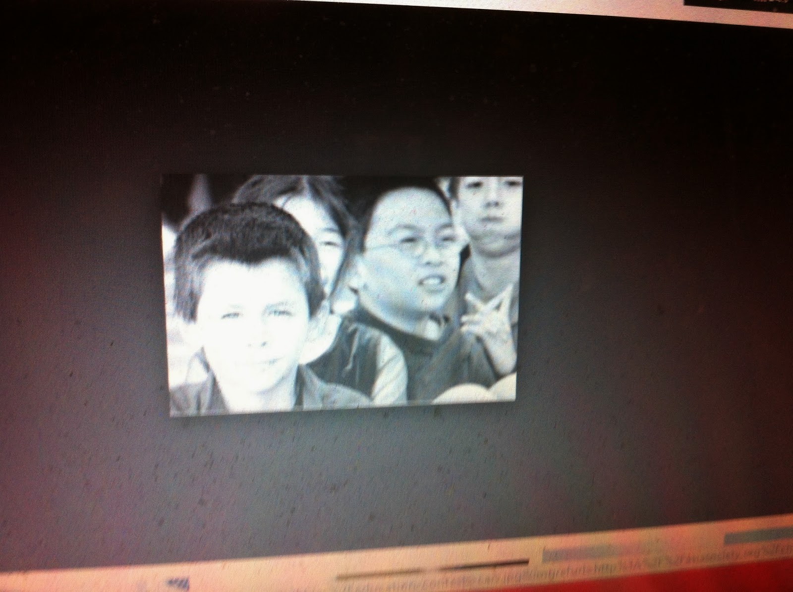 THE BLACK SOCIAL HISTORY:: BLACK SOCIAL HISTORY : AMERICAN " CAROL RUTH ...