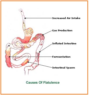 NGENTUT - FLATUS | Beriman,Berilmu,Berakal