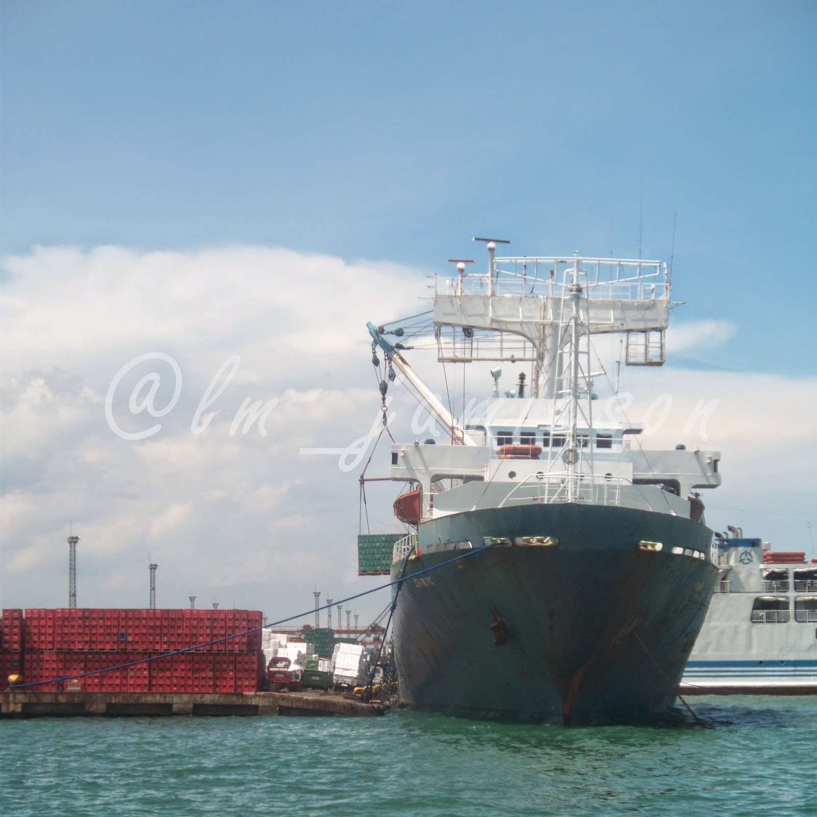 Lin-Marie Jamieson: May 2015