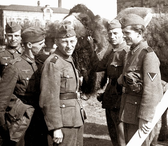 NAZI JERMAN: Foto Kamel (Unta) dan Tentara Jerman
