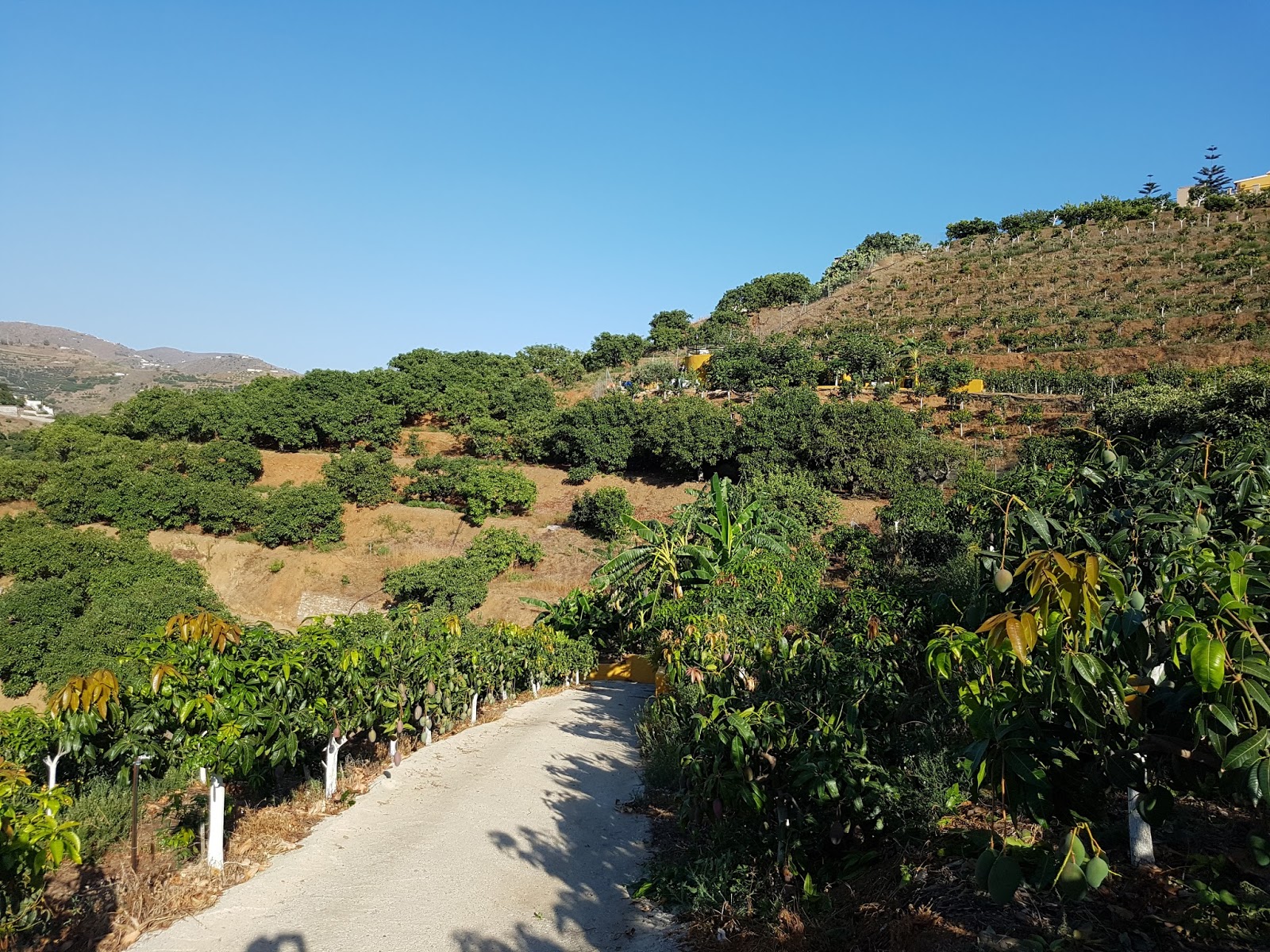 UN PARAÍSO EN CASA: septiembre 2016