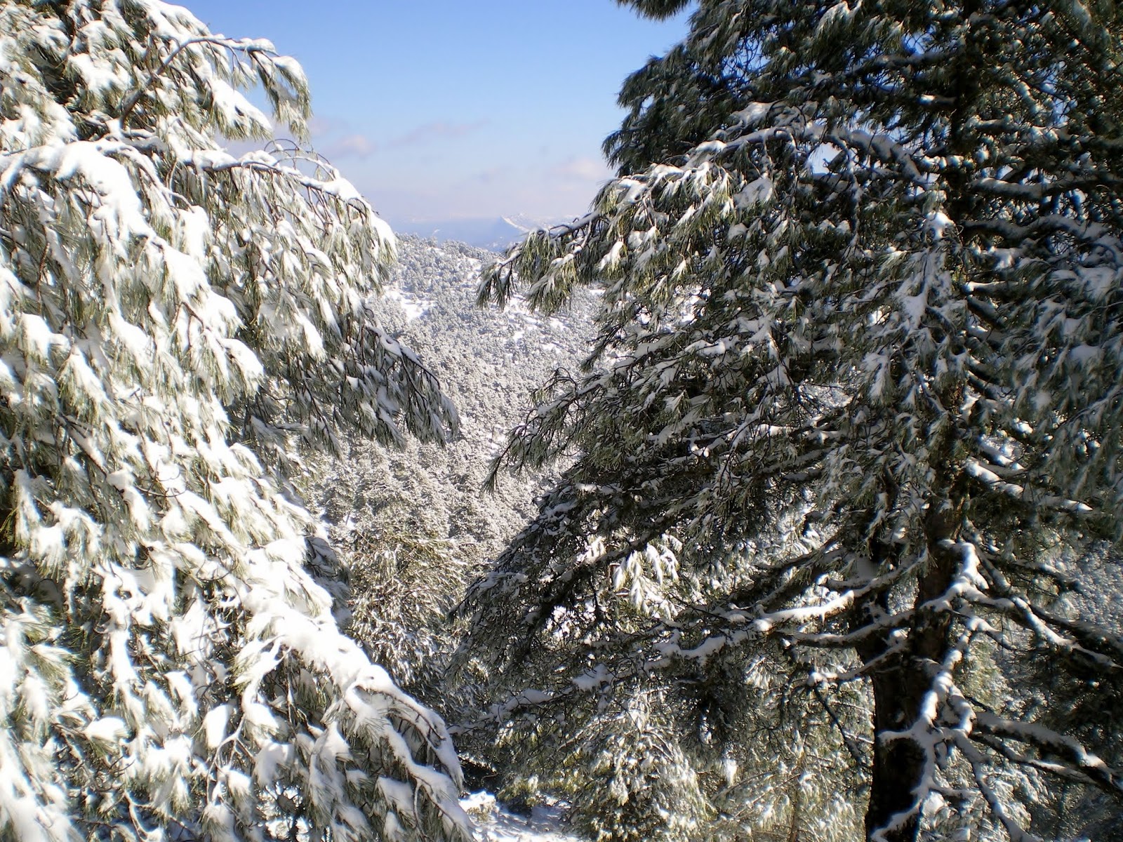 Club de Senderismo Los Escuderos de Rus (Jaen): LA IRUELA, CASTELLONES ...