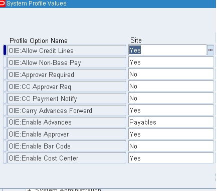 Oracle Applications: Oracle IExpenses Setups In R12