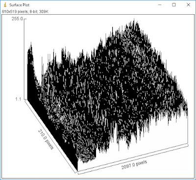My imageJ: Surface Plot รูปแบบการสร้าง profile ภาพ ในรูปแบบกราฟ 3D