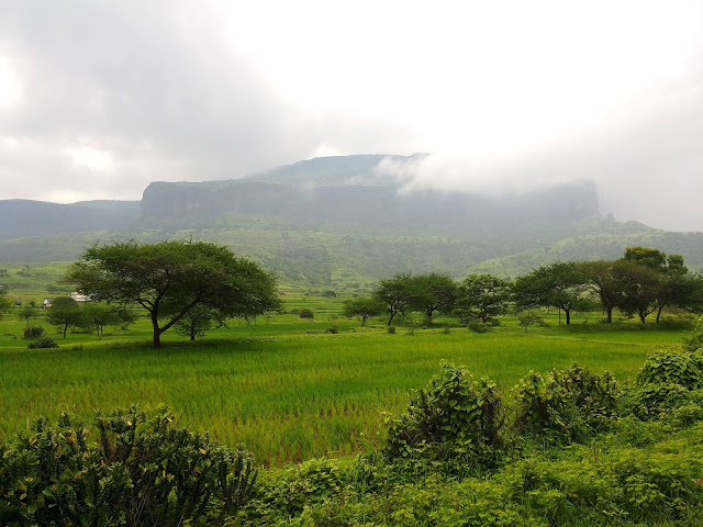 Anjaneri Fort Trek in Nashik - Forts and Treks