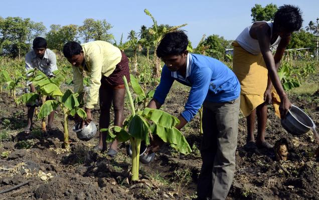 AgriHunt: Agriculture operations in the grip of labour shortage