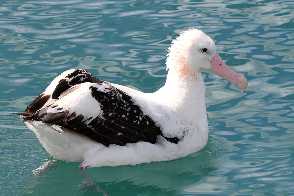 Natureza, Perfeição sem tamanho...