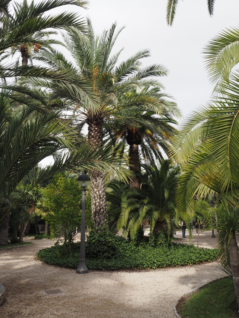 Spain | A Day Trip to the Palm Groves of Elche | Dinner Stories