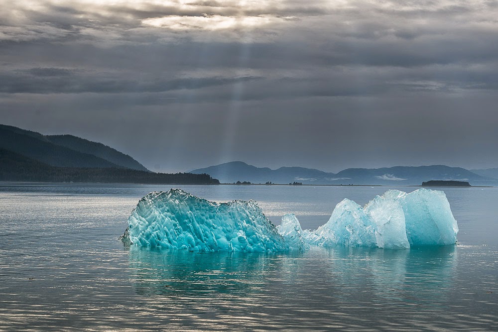 Rudolf Hug, Photography: Whales in the Alexander Archipelago, Alaska, USA