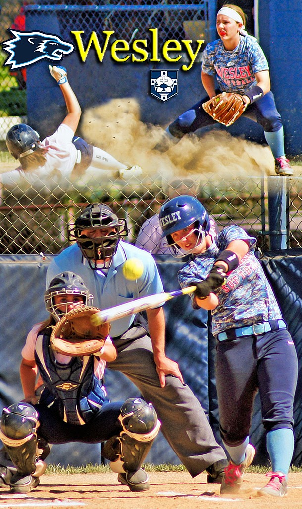 Wesley Wolverines Fastpitch Softball: STUDENT-ATHLETES