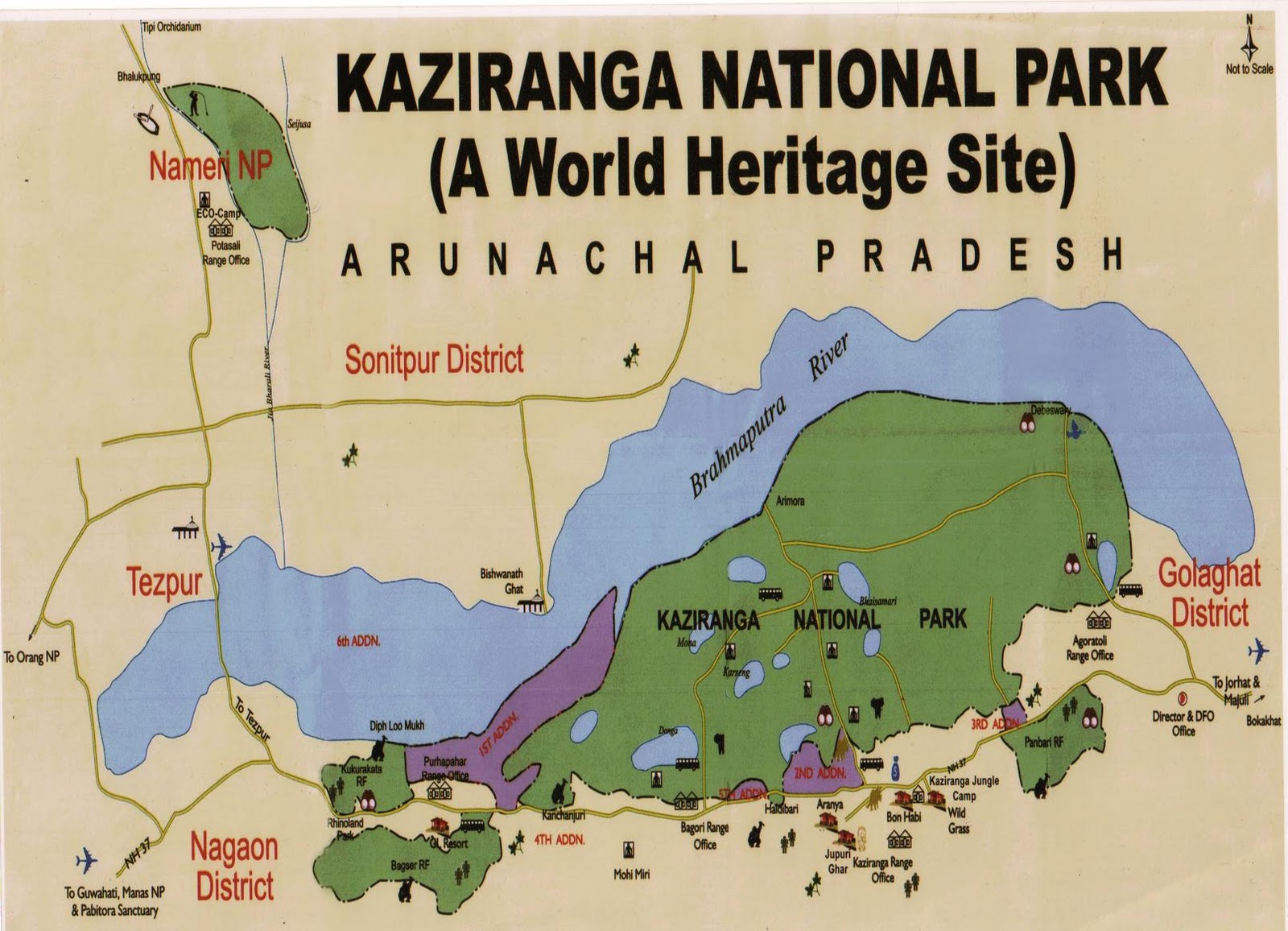 Wildlife:Ecology and Conservation: Kaziranga National Park
