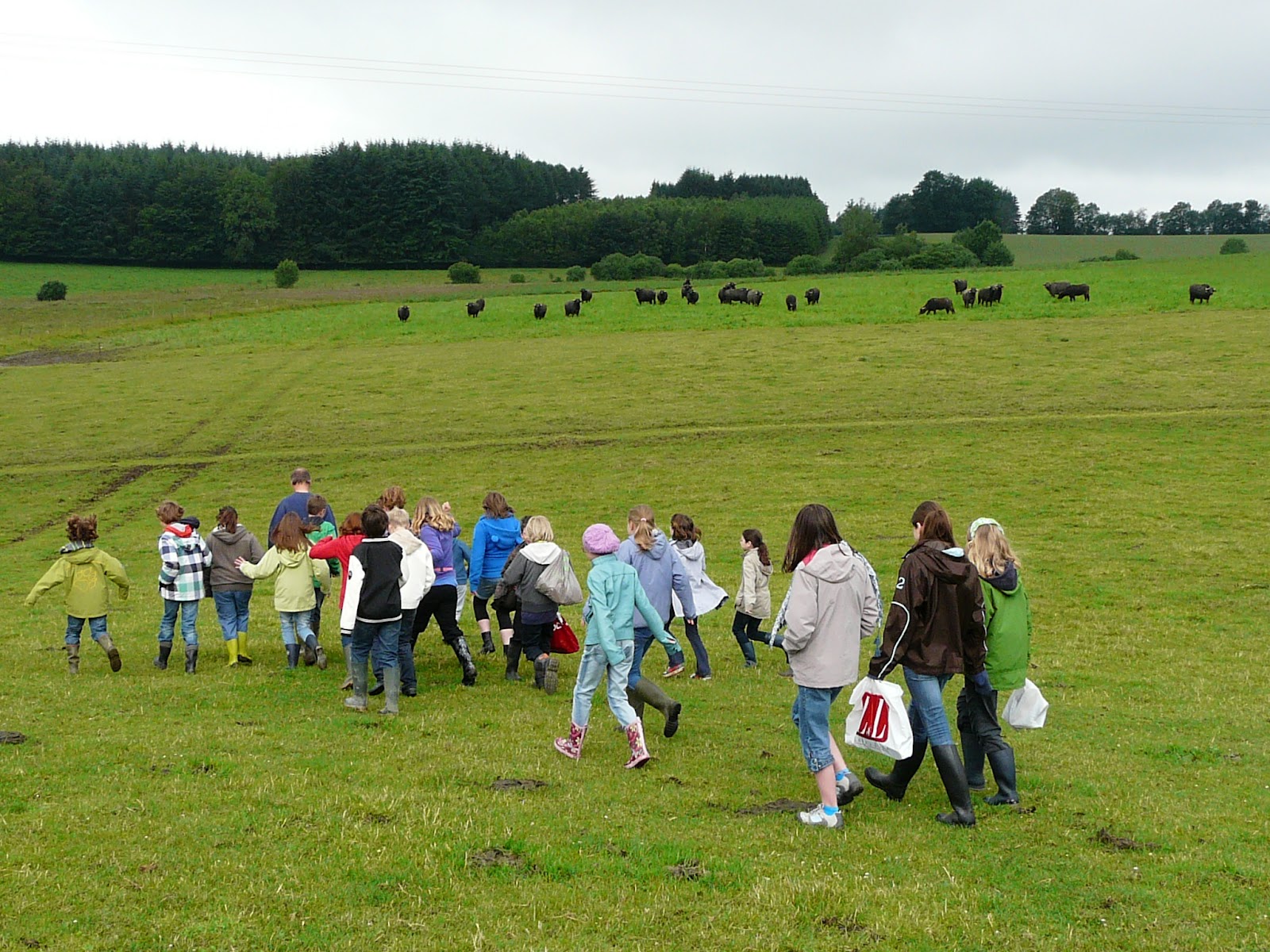 Blog de la 5e A de l'Institut Saint-Joseph de Neufchâteau: Visite de la ...