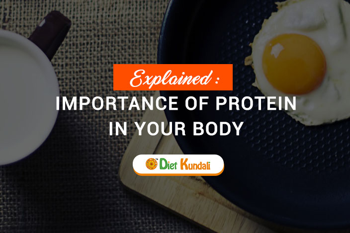 Importance of Protein in your Body: Explained