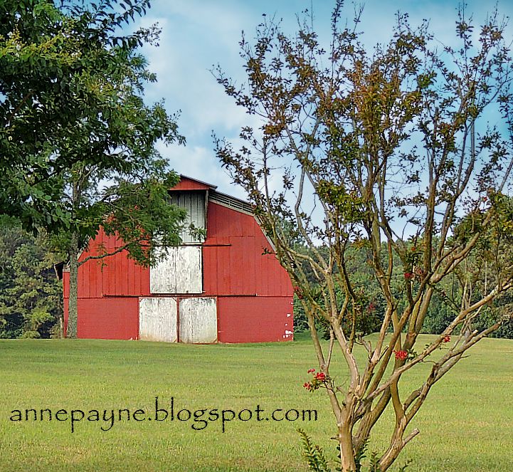 Stuff & Nonsense: Red and White