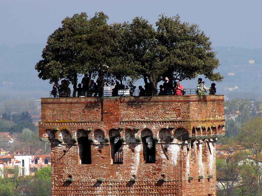 trees over buildings | Page 2 | SkyscraperCity Forum
