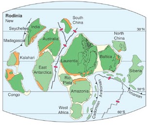 The Global Mirror: November 2012