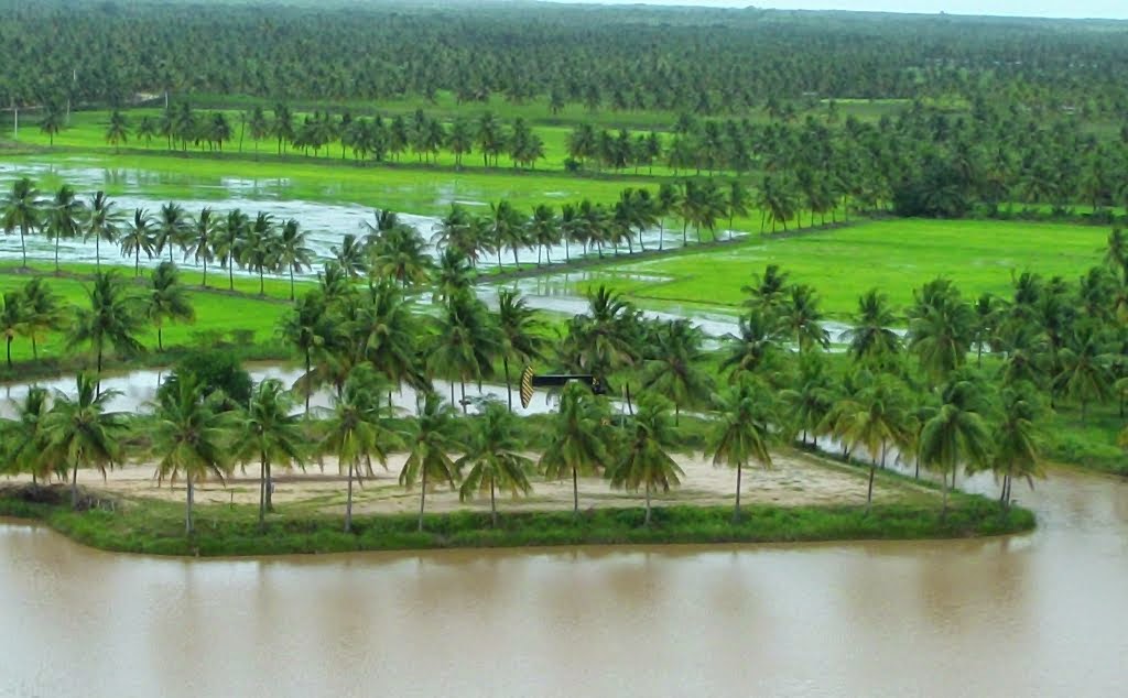 SERGIPE EM FOTOS: Vista aérea de região no município de Brejo Grande