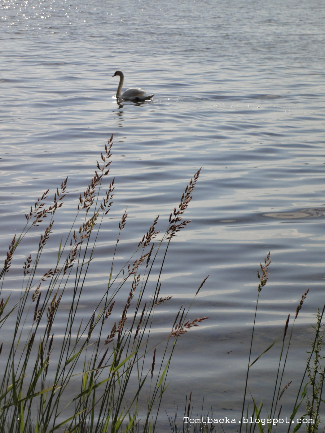 Tomtbacka: Afternoon in Tammisaari - Ekenäs