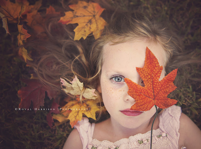 Royal Harrison Photography