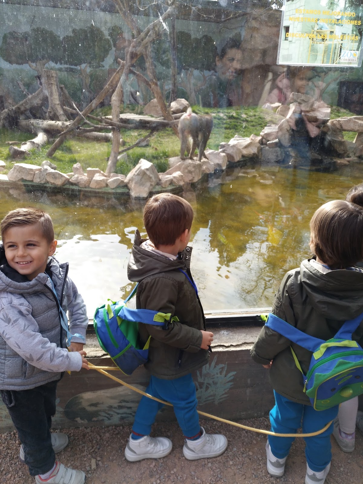 Profe Rafa de Infantil: Hoy, vamos de excursión al Zoo