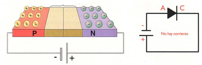 ¿Cómo funciona una unión PN?