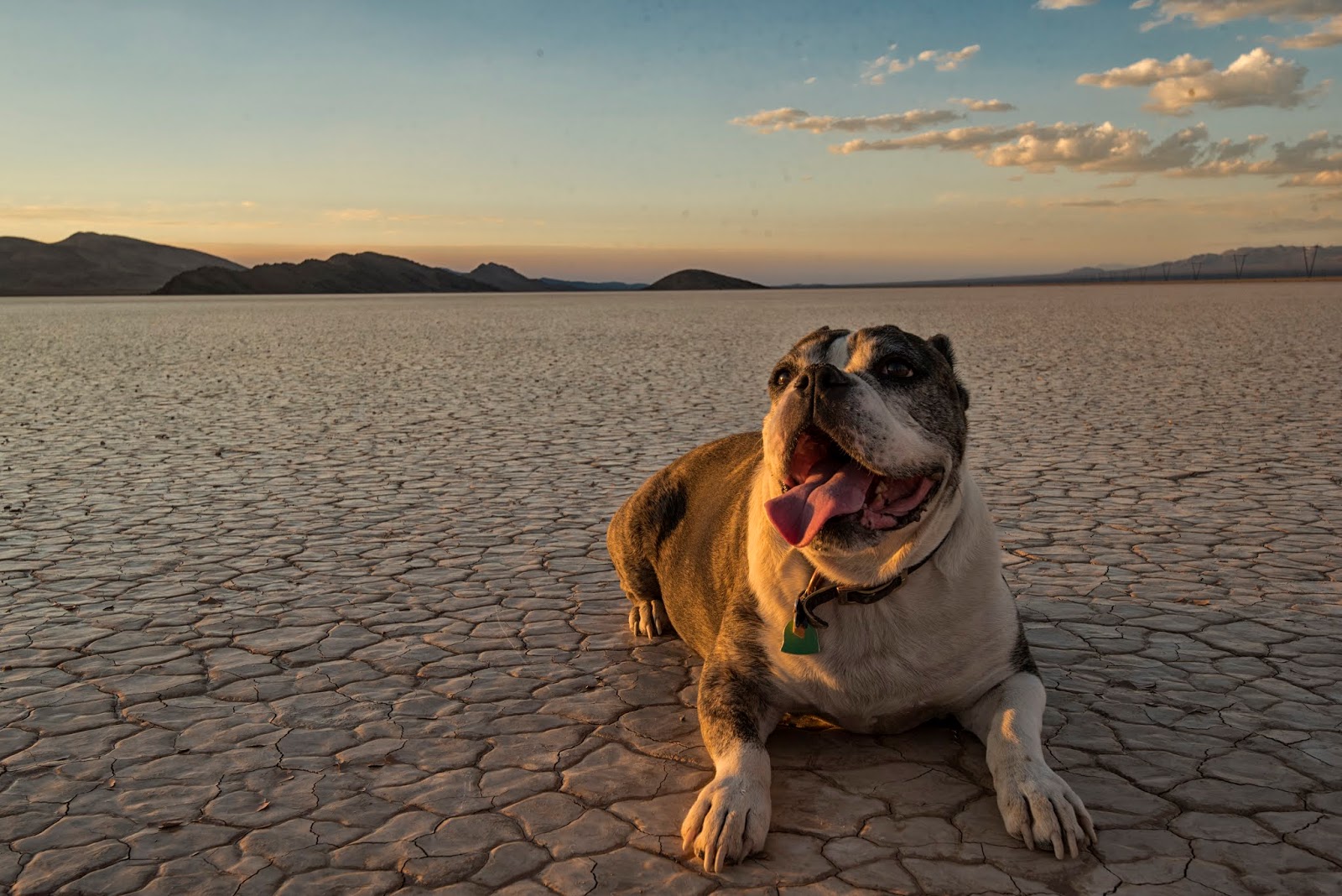 DELAMAR DRY LAKE, NEVADA - ADAM HAYDOCK