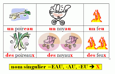 Le français pour tous: Leçon 3: La formation du pluriel