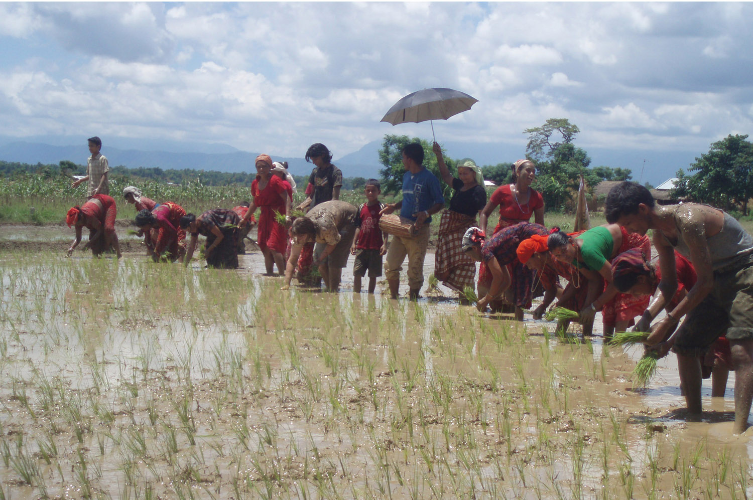 प्रकृति: Asar 15