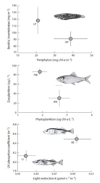 Eco-Evo Evo-Eco: EcoEvo Deathmatch: Behavioral types versus Eco types