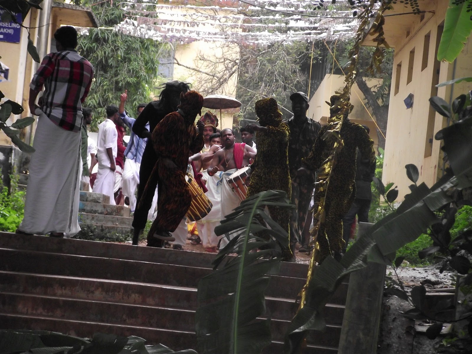 The Campus Observer: Reports