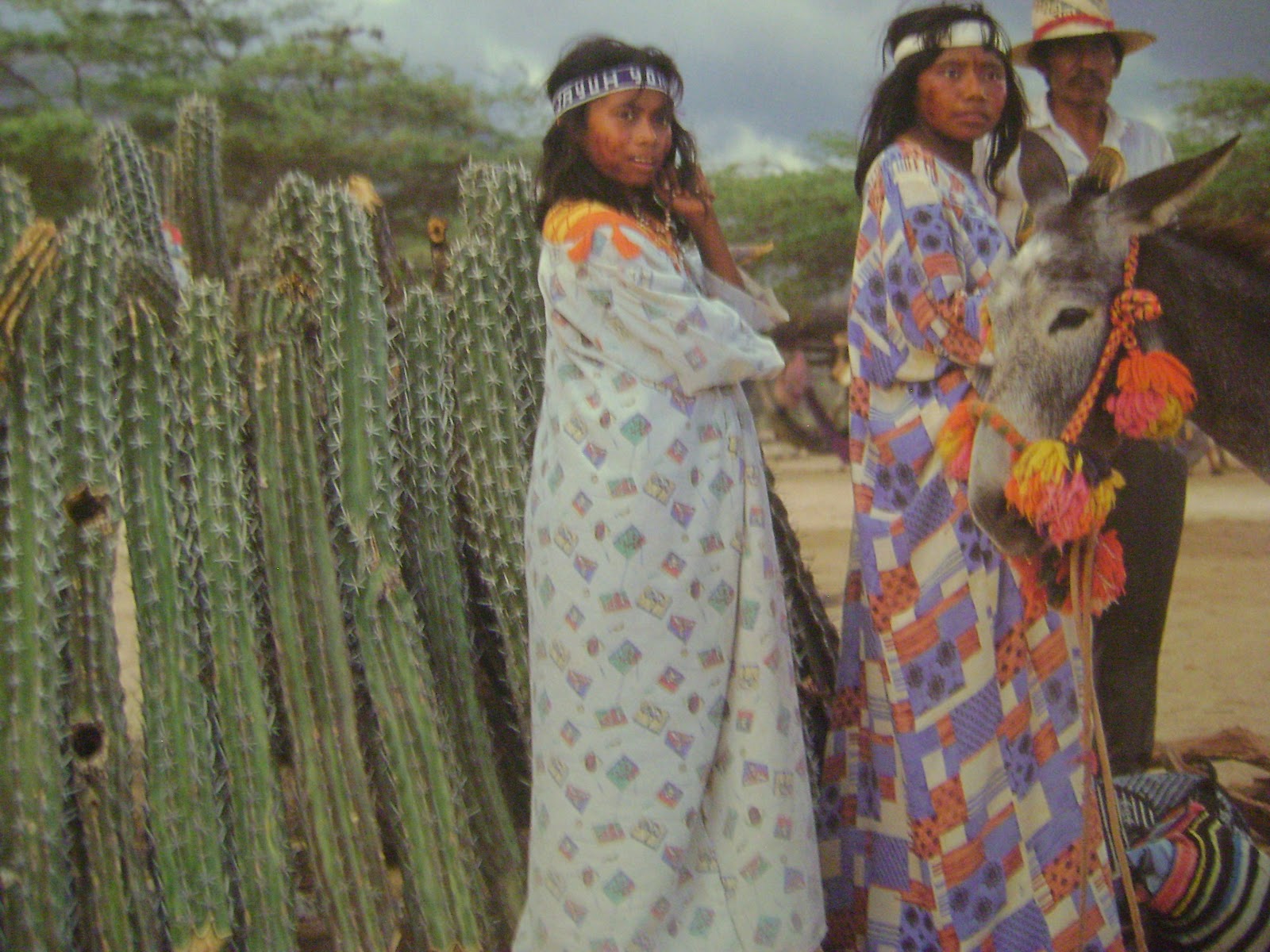 CUENTOS INDIGENAS: LOS CUENTOS DE LA CULTURA WAYUU