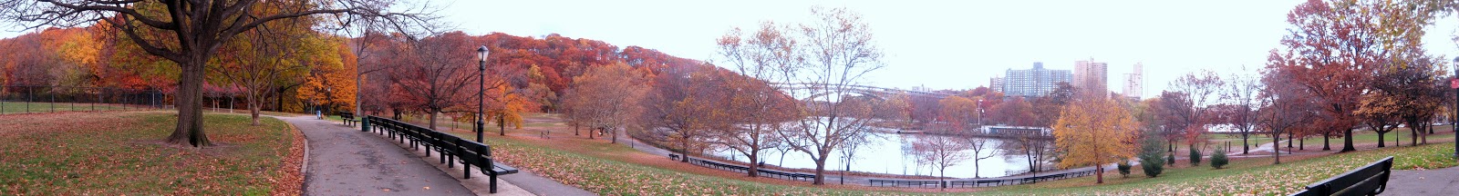 OLD NEW YORK: Inwood Hill Park