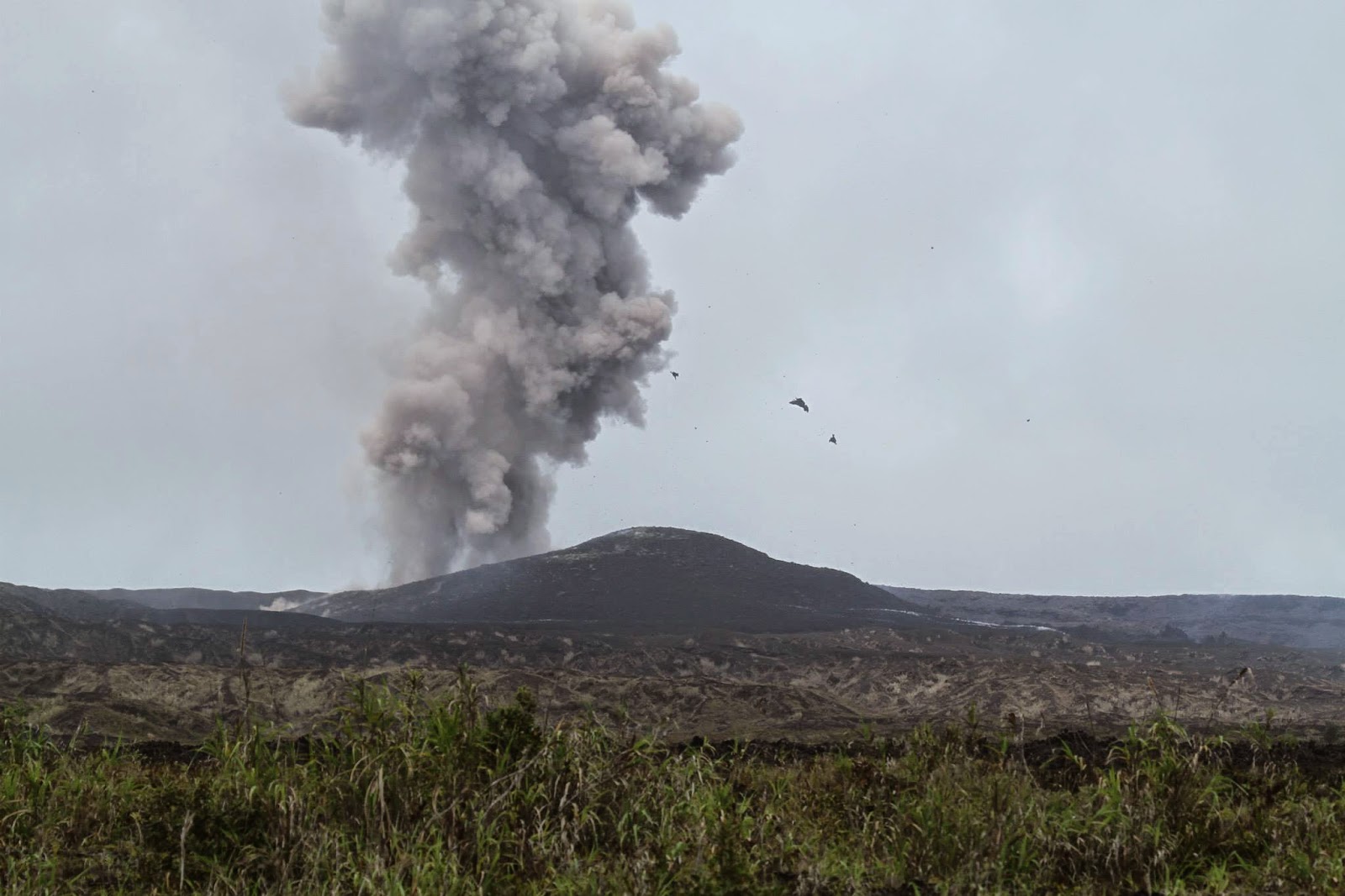 Sciency Thoughts: Eruption on Mount Ambrym, Vanuatu.