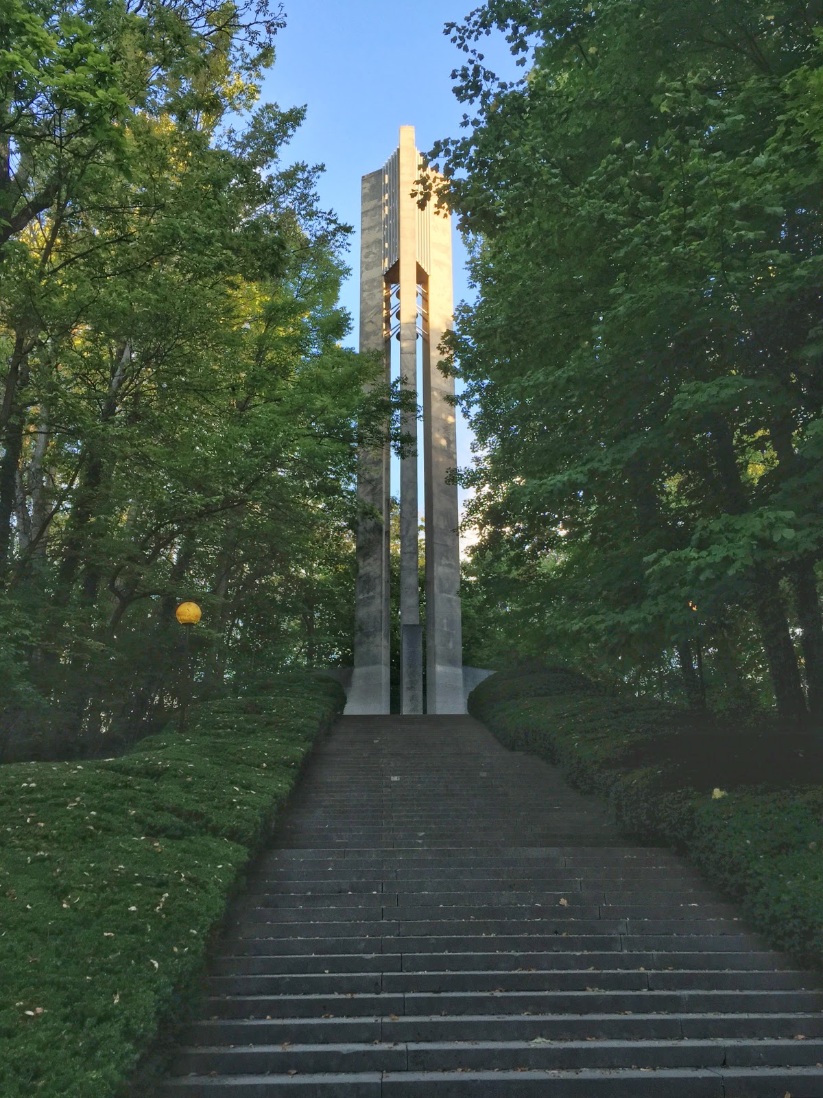 Beautiful Pinus strobus 'Pendula' at Butler University [Backyard ...