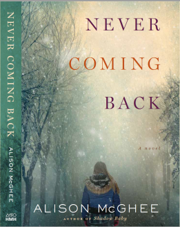 Book Q&As with Deborah Kalb: Q&A with Alison McGhee