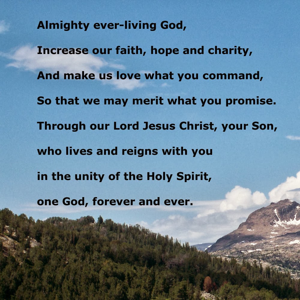 Daily Homilies: Thirtieth Sunday in Ordinary Time