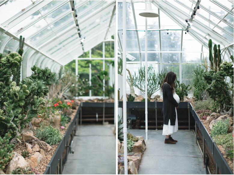 Lattes & Layers: Volunteer Park Conservatory in Seattle, WA